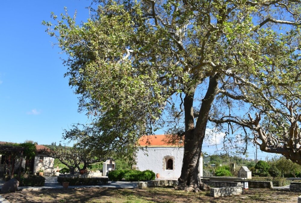 Gallery – Calma Seaside Villa – Kalives Chania